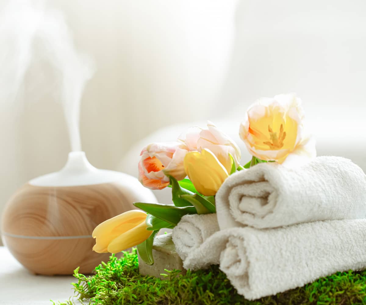 Rejuvenating Spa - Mobina.dk